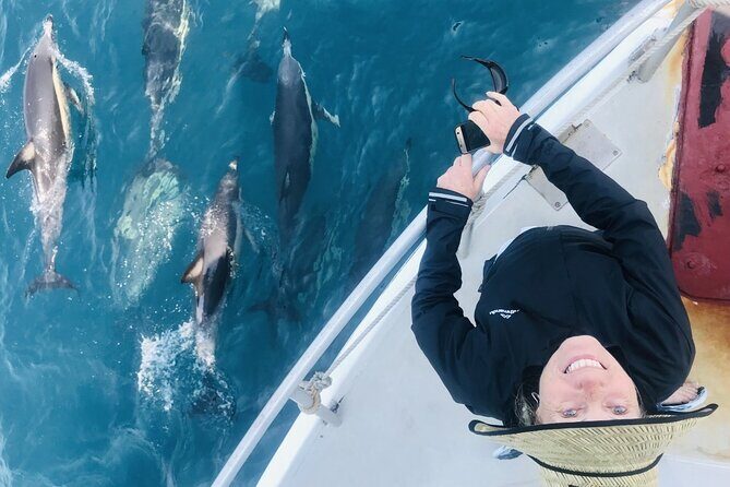 Dolphin & Wildlife Encounters - The Expertise and Commentary: Adding Value