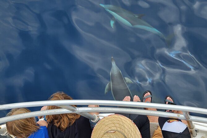 Dolphin & Wildlife Encounters - Overall Value and Who Will Enjoy This Tour