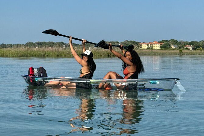 Dolphins and Wildlife Ecotour - A Deep Dive into the Dolphins and Wildlife Ecotour