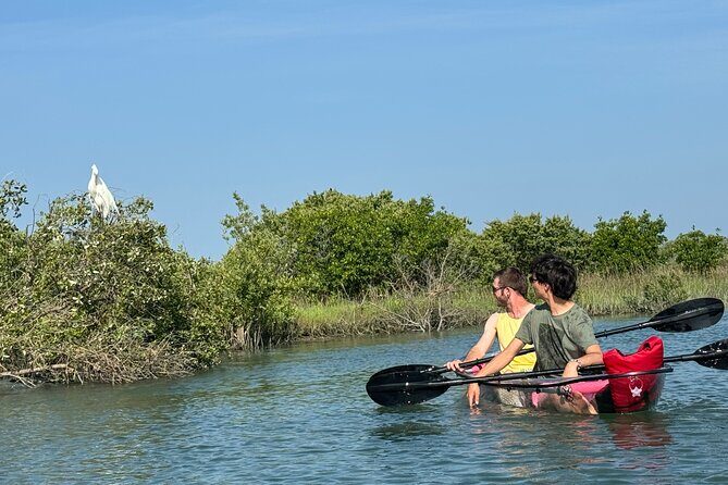 Dolphins and Wildlife Ecotour - The Sum Up