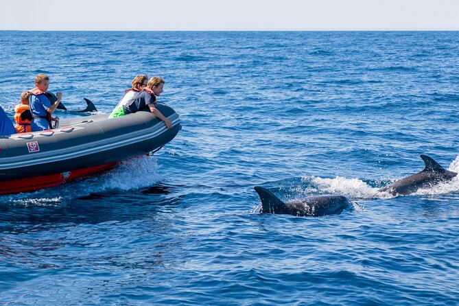 Dolphins & Caves on Rib Boat - Meeting and Accessibility