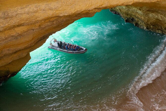 Dolphins & Caves on Rib Boat - Customer Reviews and Feedback