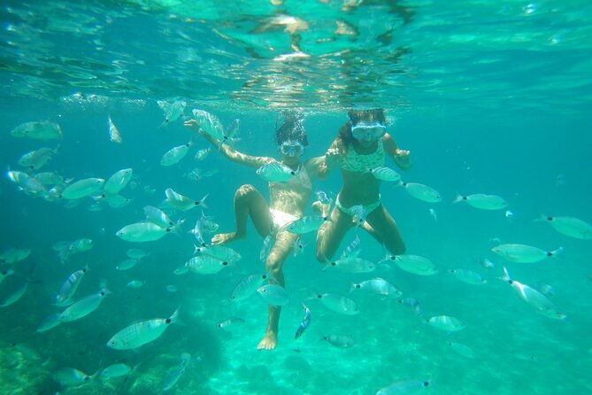 Dolphins Circus tour in Small group - Final Thoughts: Who Should Consider This Experience?