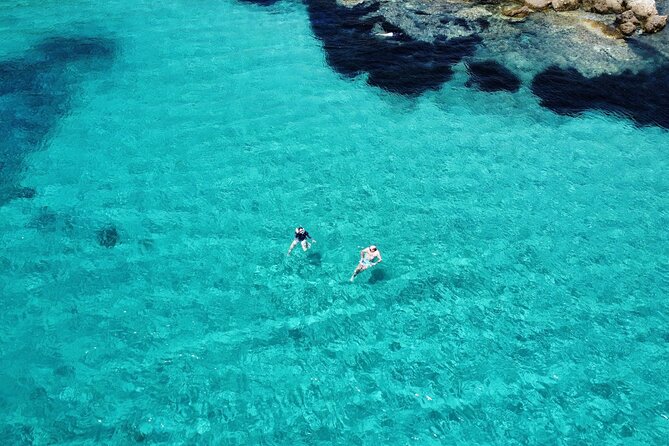 Dolphins Rib boat (up 6 people) Private - The Itinerary: What to Expect