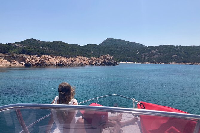 Dolphins Rib boat (up 6 people) Private - Price and Value Considerations