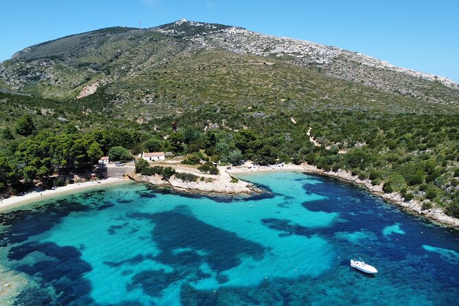 Dolphins Rib boat (up 6 people) Private - Final Thoughts: Is This Tour Right for You?