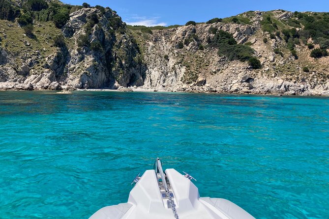 Dolphins Rib boat (up 6 people) Private - FAQs