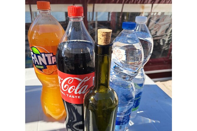 Dolphins Watching in the National Park Brijuni from Pula - Who Would Enjoy This Tour?