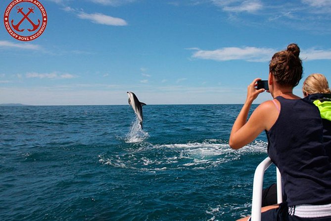 Dolphins Watching in the National Park Brijuni from Pula - Practical Tips