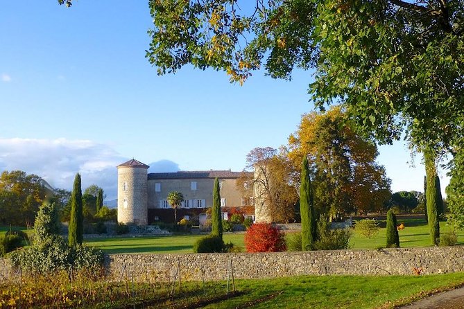 Domain Visit - Additional Information and Tips