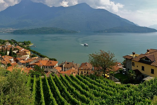 Domaso: Wine Tasting at the Winery on Como Lake - FAQ
