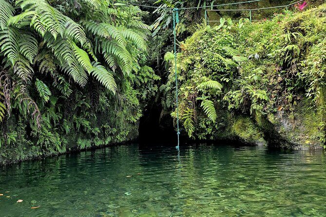 Dominica Adventure Hiking, Swimming, and Hot Springs Tour - FAQ