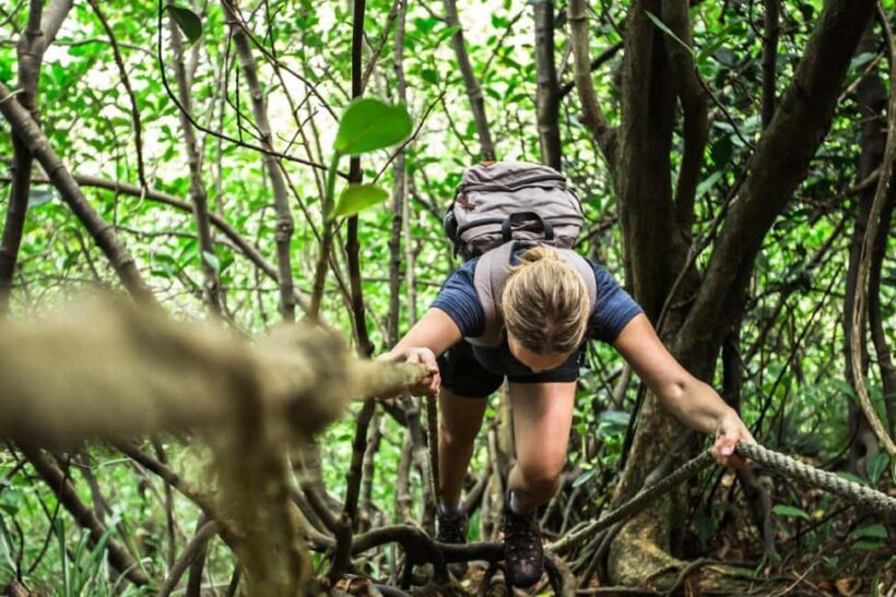 Dominica Adventure Tour - Who Will Love This Tour?