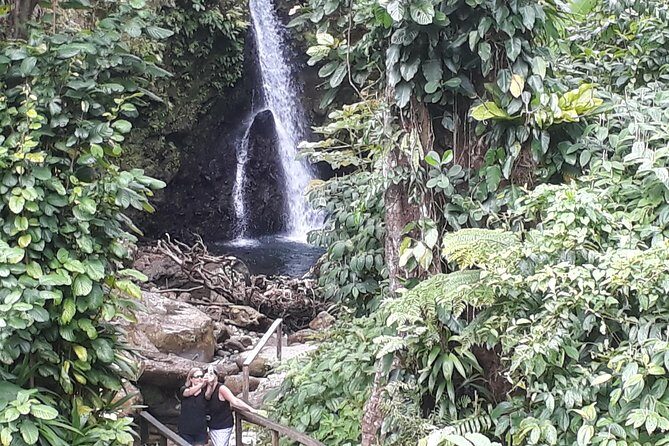 Dominica Half-Day Tour: Mero Beach, Waterfalls, Mineral bath Wotten Waven - In-Depth Breakdown of the Itinerary