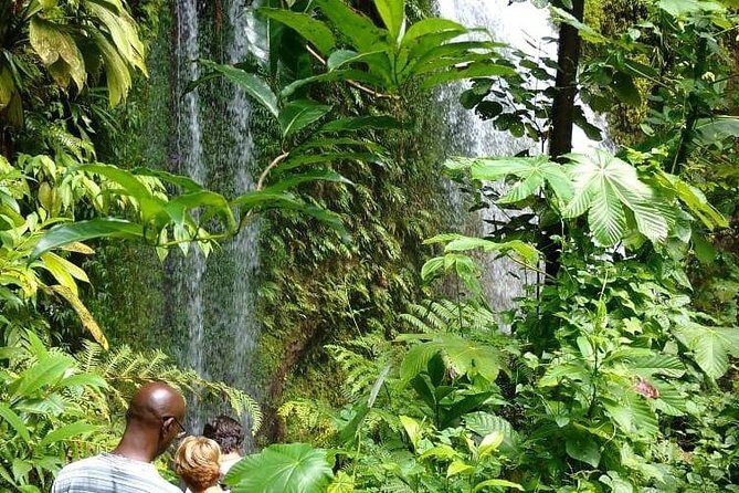 Dominica Half-Day Tour: Mero Beach, Waterfalls, Mineral bath Wotten Waven - Final Thoughts: Who Is This Tour For?