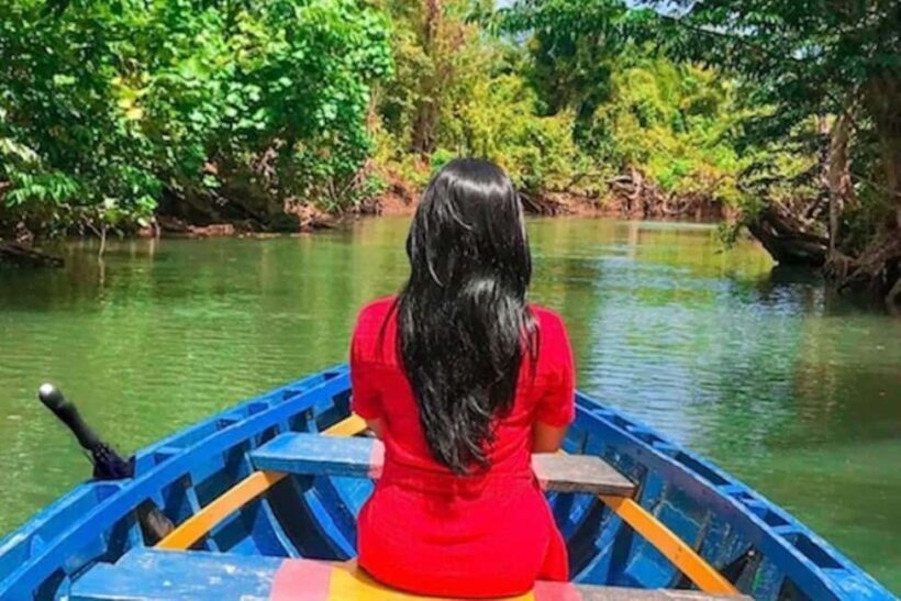 Dominica: Indian River Discovery & Beach Stop Tour - Key Points