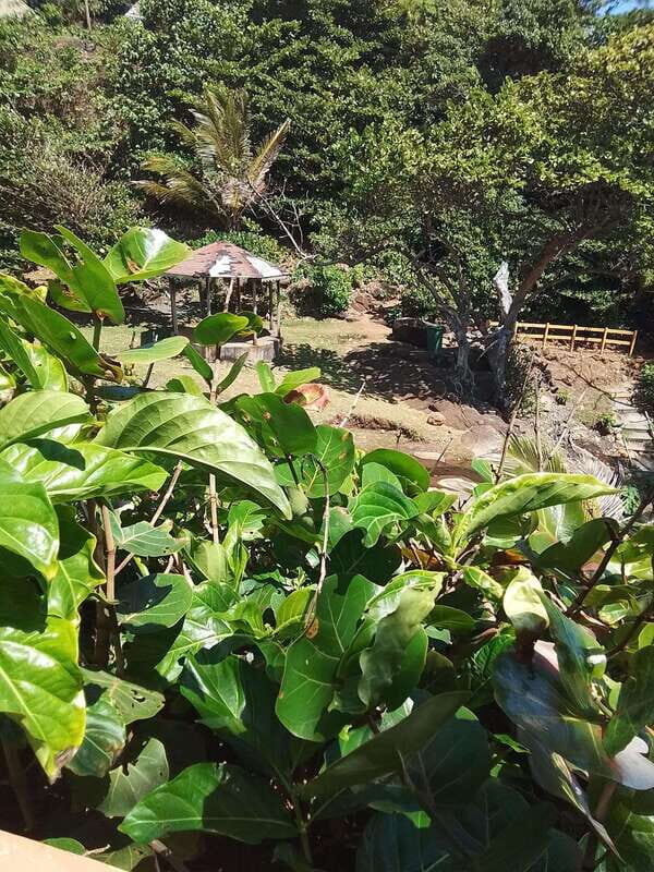 Dominica: Indian village, Hidden gems & British Battle Fort. - Key Points