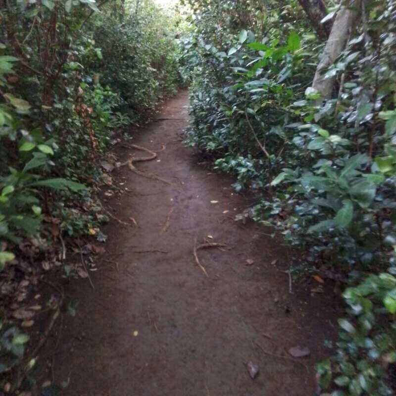 Dominica: Indian village, Hidden gems & British Battle Fort. - Is It Worth the Price?