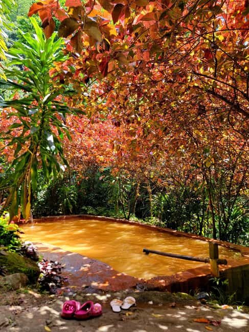 Dominica: Middleham Falls, Titou Gorge, and Trafalgar Falls - Fresh Water Lake and Wildlife