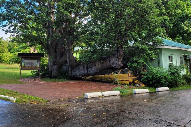 Dominica Scenic Waterfalls and Hot Springs @ Autop Tours - Who Should Consider This Tour?