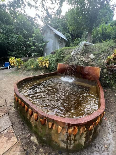 Dominica: Scotts Head Kayak and Soufriere Thermal Springs - Transition to Soothing Thermal Springs