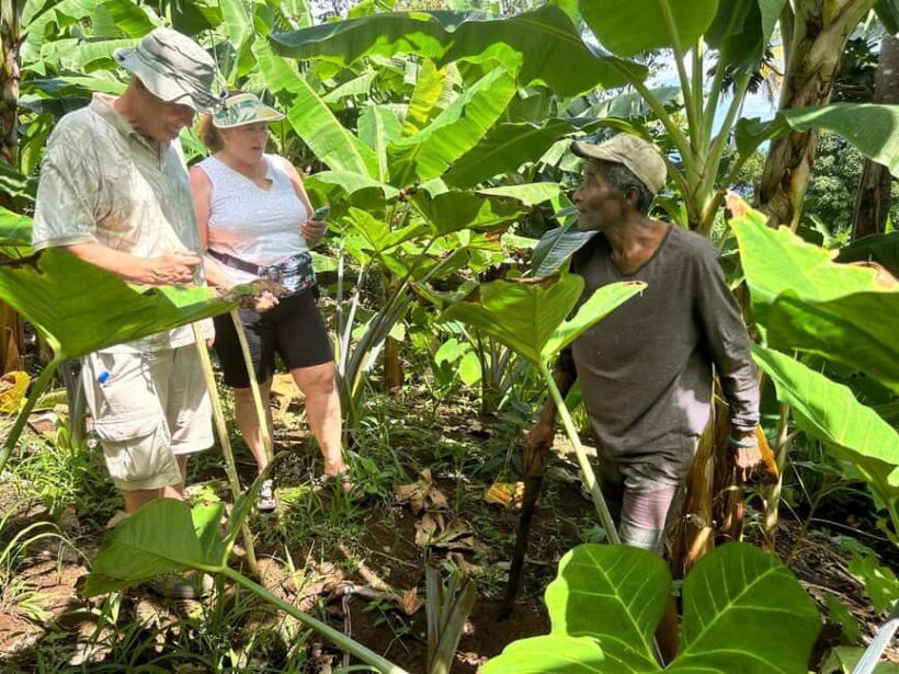 Dominica: Sow & Grow Farm Exploration - FAQ
