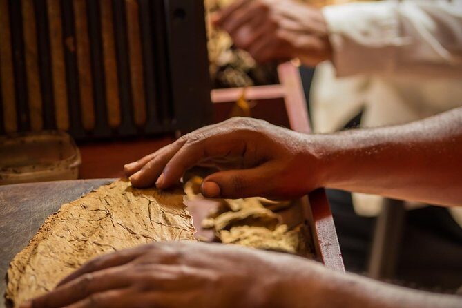 Dominican Cigar Factory Tour - A Closer Look at the Dominican Cigar Factory Tour