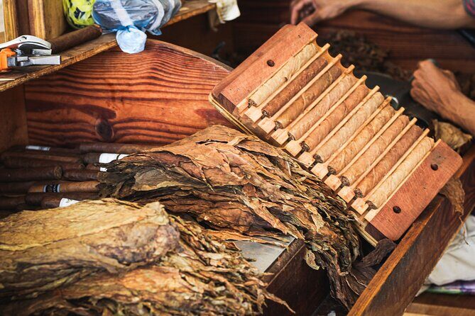 Dominican Cigar Factory Tour - Final Thoughts: Is This Tour Right for You?