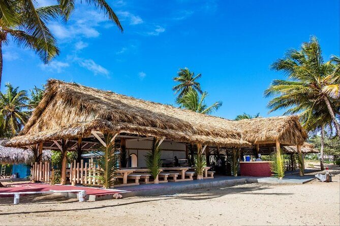 Dominican countryside, culture and beach escape with lunch - What Do the Reviews Say?