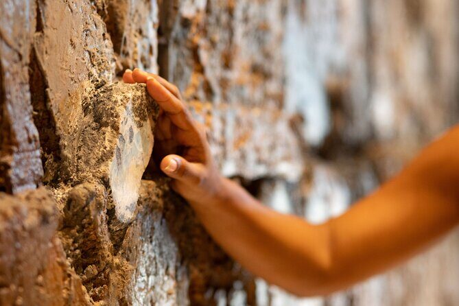 Dominican Cultural Experience in Punta Cana Half-Day Tour - Who Will Love This Tour?