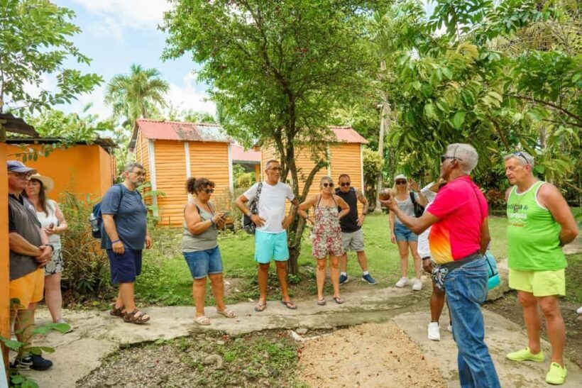 Dominican Culture & Buggy Family Adventure from Punta Cana - Key Points