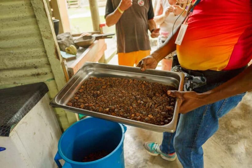 Dominican Culture & Buggy Family Adventure from Punta Cana - A Closer Look at What You Can Expect