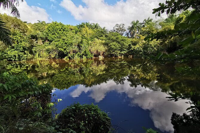Dominican FLAVOR & COUNTRYSIDE SAFARI Pick-up Included - A Comprehensive Look at the Dominican FLAVOR & COUNTRYSIDE SAFARI