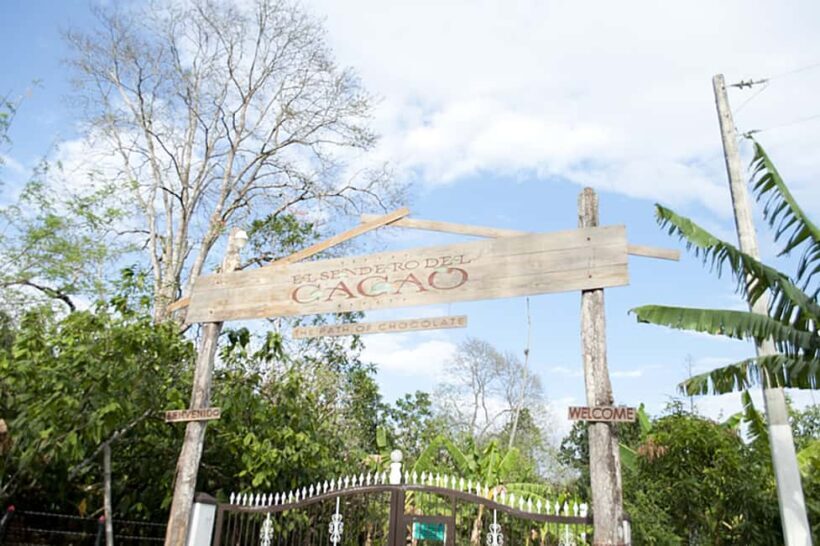 Dominican Republic: 3-Hour Chocolate Lovers Tour - Value and Who It’s For