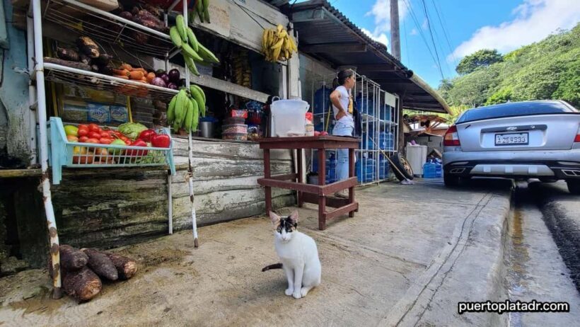 Dominican Republic Countryside Safari Tour from Puerto Plata - Key Points