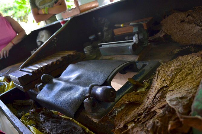 Dominican Republic Countryside Safari Tour from Punta Cana - FAQ