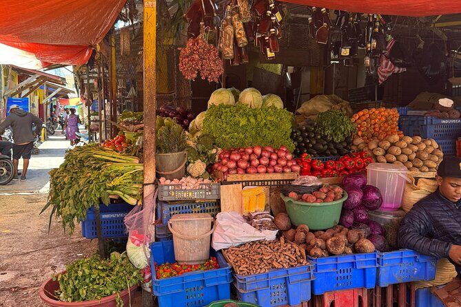 Dominican Roots: Unforgettable Cultural Adventure in Punta Cana - Final Thoughts on the Dominican Roots Tour