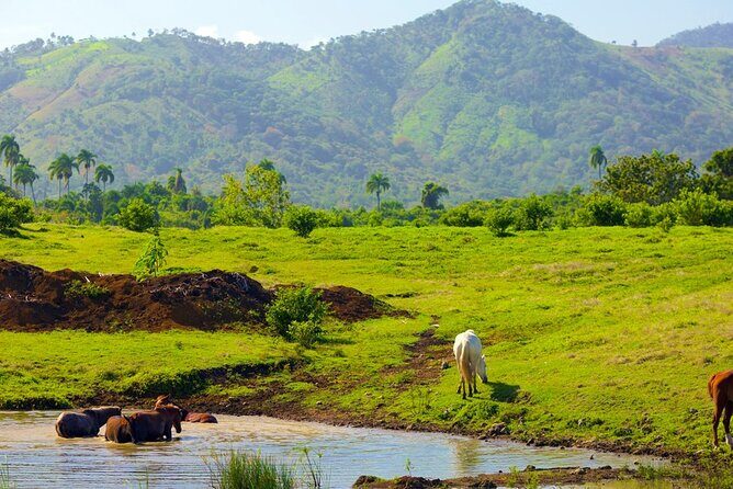 Dominican Roots: Unforgettable Cultural Adventure in Punta Cana - FAQ