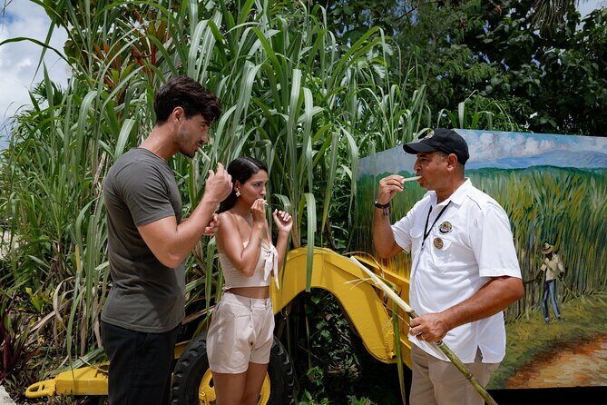 Dominican Safari Adventure: Culture, Nature & Macao Beach - A Day in the Life: Exploring the Dominican Republic