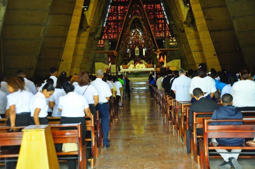 Dominican Safari from Punta Cana - The Sum Up: Is This Tour Worth It?