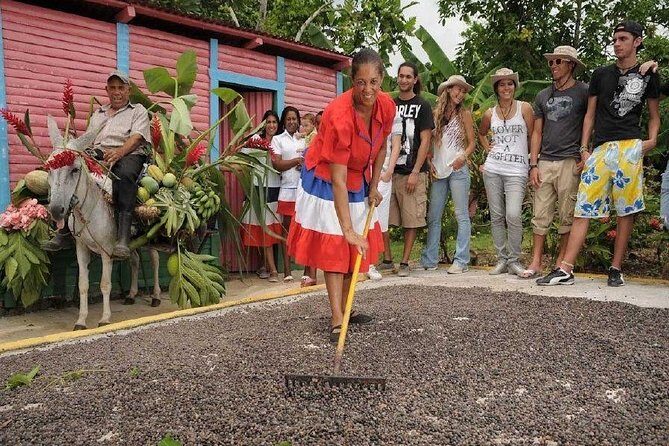 Dominican Safari Half Day... - An In-Depth Look at the Tour Experience