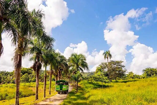 Dominican's 8 hours Trip Zipline, ATV Buggie, Horseback & Safari - The Itinerary Breakdown