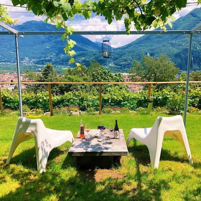 Domodossola: Savor Wines & Local Treats in a Scenic Vineyard - A Practical Look at the Experience