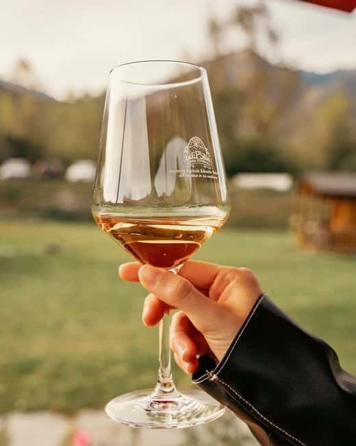 Domodossola: Savor Wines & Local Treats in a Scenic Vineyard - Who Will Love This Tour?