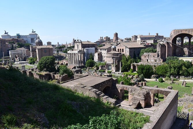 Domus Tiberiana and The Ruins of Ancient Rome Guided Tour - Who Should Consider This Tour?