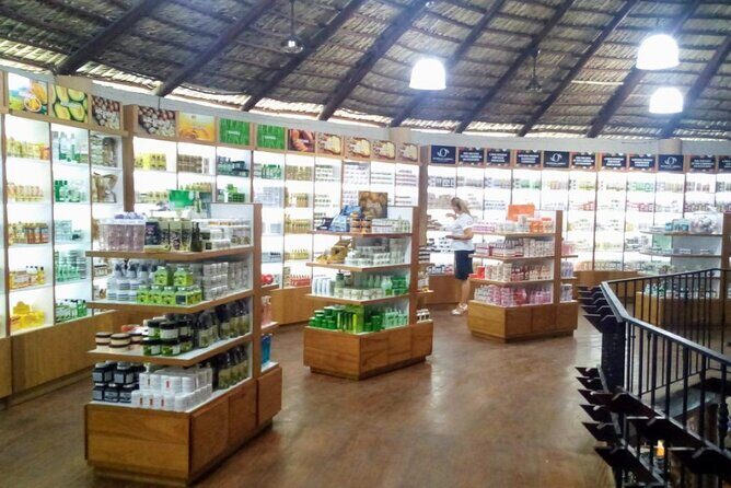 Don Lucas Cigar Factory & Store + Premium Rum Tasting (3 hours) - The Sum Up