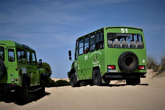 Doñana 4x4 and El Rocío Tour - The Itinerary in Detail