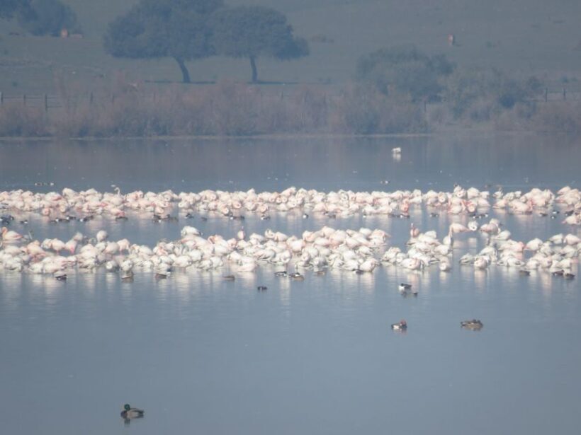Doñana National Park: 2-Day Tour from Seville - Practical Tips for Travelers