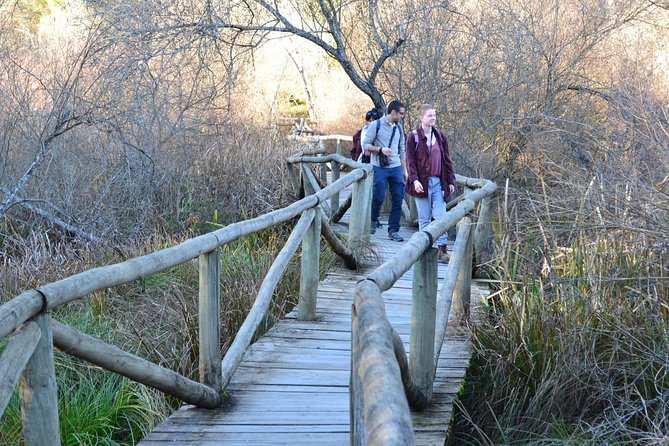 Donana National Park: Guided Day Tour From Seville - Accessibility and Group Size