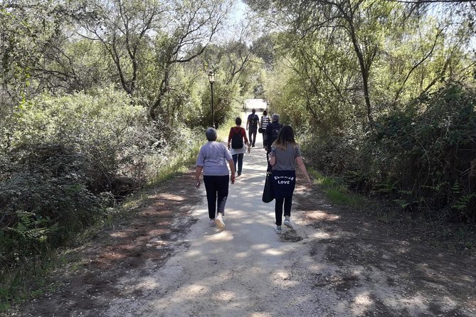 Doñana National Park in 4x4 and El Rocío - Booking and Practical Information